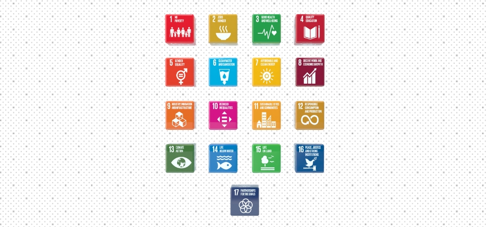 From Idea to Action: How UN Sustainable Development Goals Come to Life ...